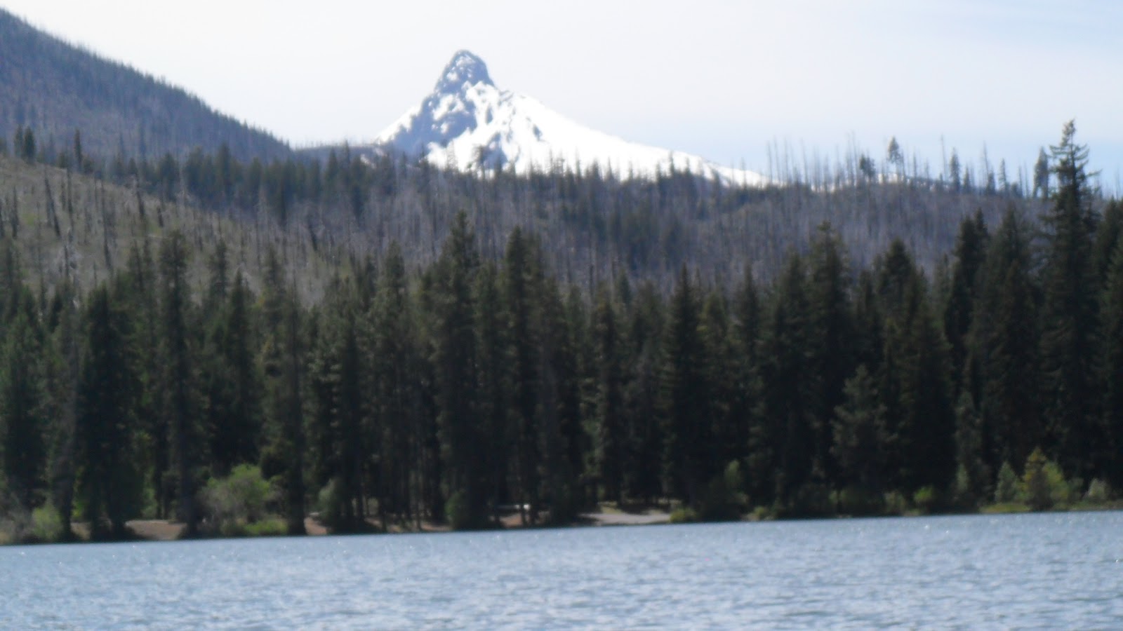 Where is Pastor Eric?: Suttle Lake Kayaking