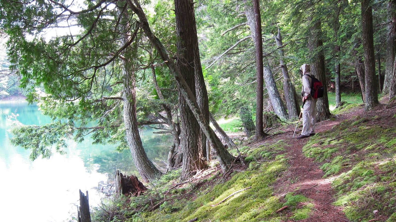 Rambling Hemlock: The Sylvania Wilderness of Michigan
