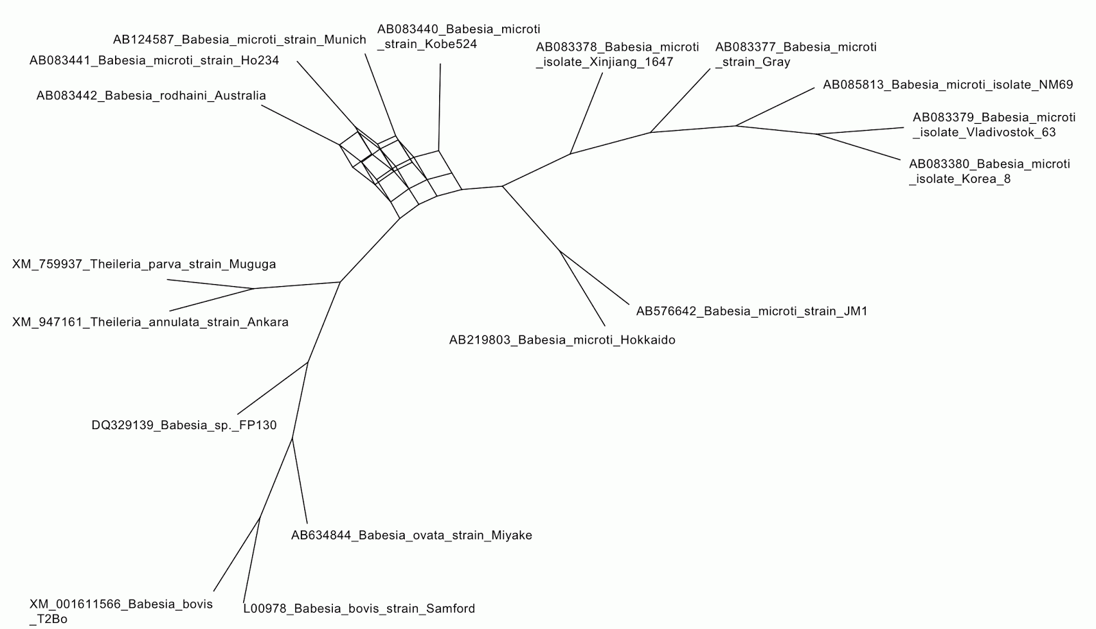 The Genealogical World of Phylogenetic Networks: We should present ...