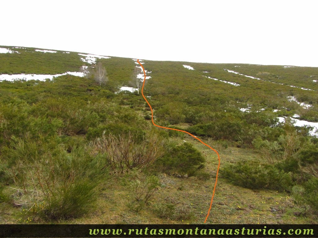 RUTA al CUETO EL FRAILE desde RIOMOLÍN, Cangas del Narcea | Pasu A Pasu ...