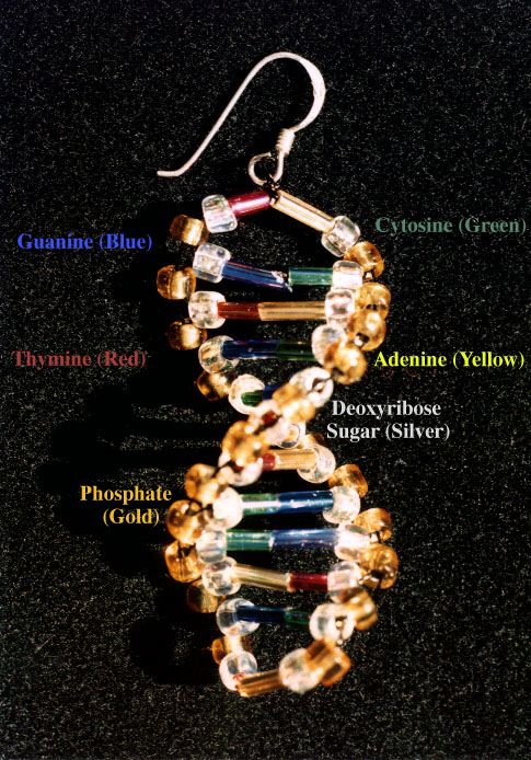 Ms. O'Connor's 7th Grade Science Blog: Girls' Science Class