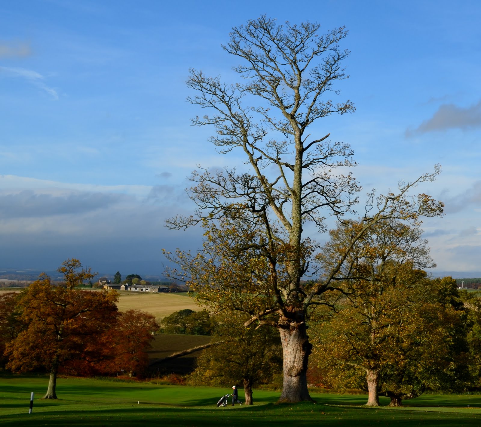 Tour Scotland: Tour Scotland Photograph Autumn Trees Golf Course Scone ...