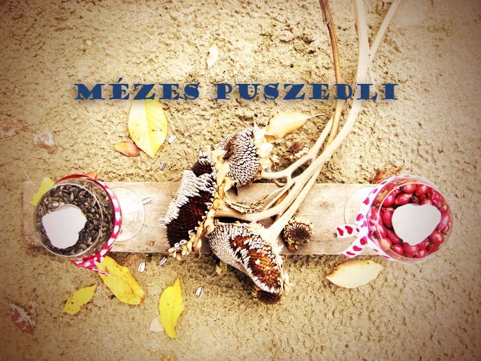 Puha mézes puszedli recept - Inspirációk Magazin