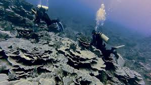 PHILIPPINE NATIONAL SECURITY & OTHER ISSUES: Benham Rise, ours to ...