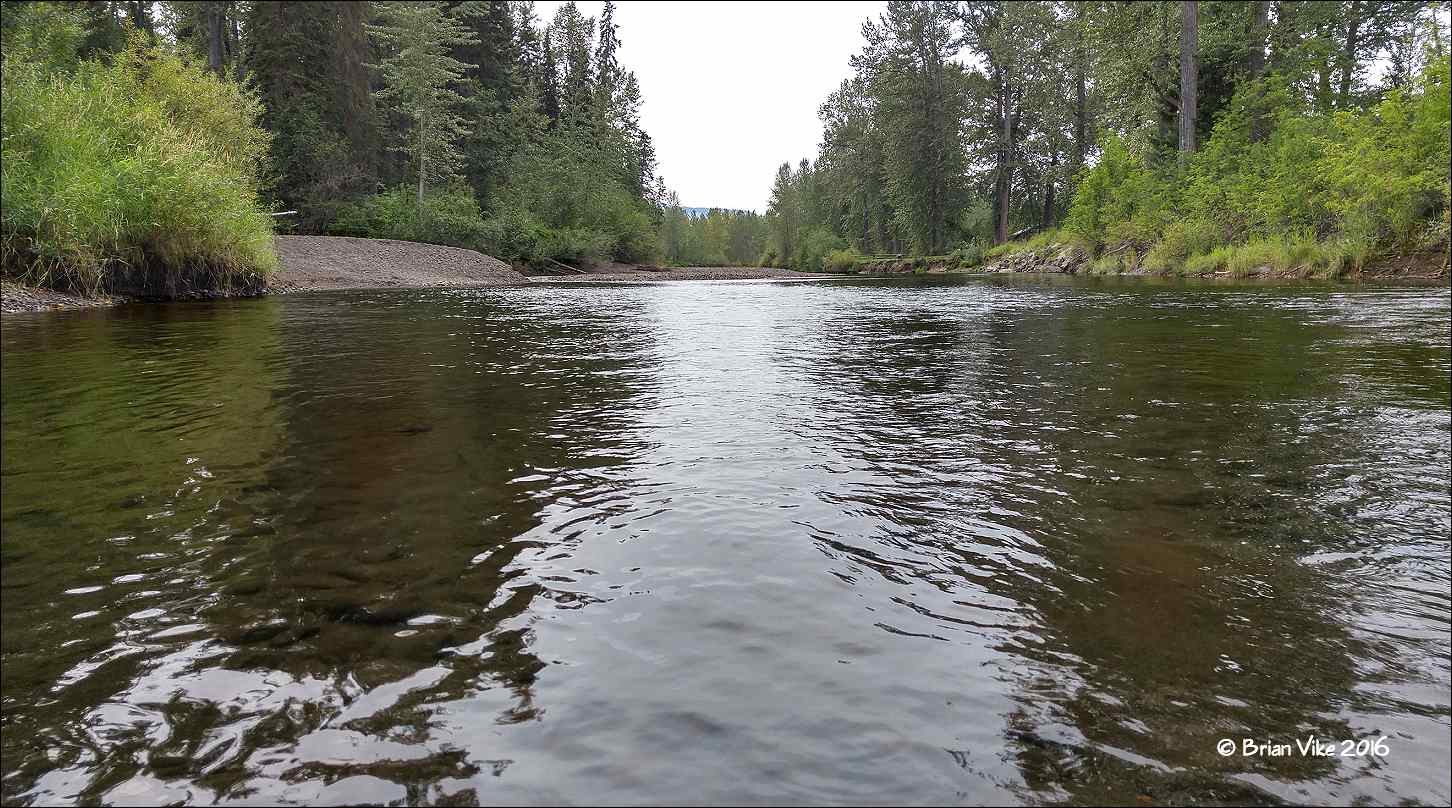 Northern Interior British Columbia: My Little Bulkley River Houston ...