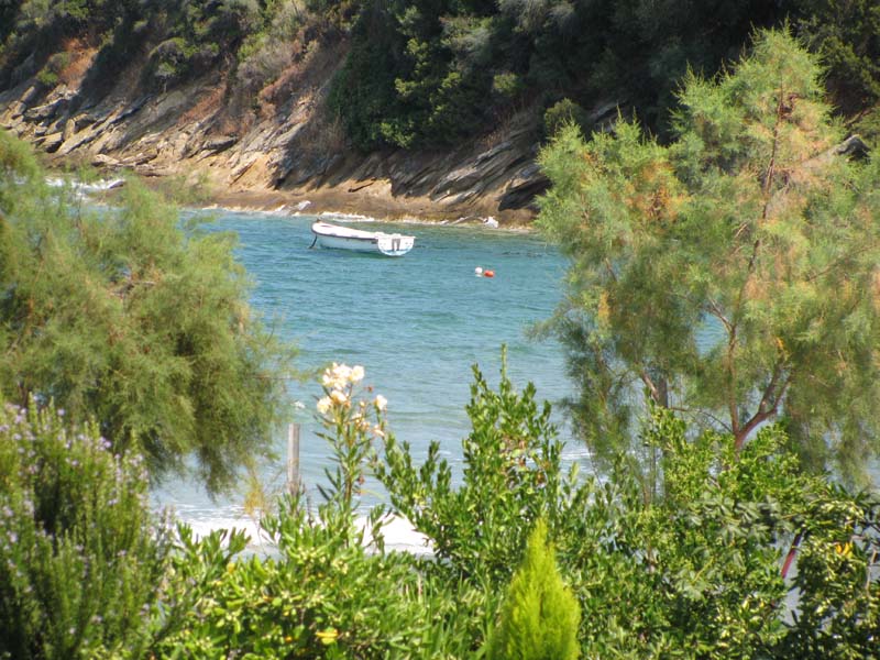ΑΓΙΑ ΜΑΡΙΝΑ ΠΤΕΛΕΟΥ ΜΑΓΝΗΣΙΑΣ