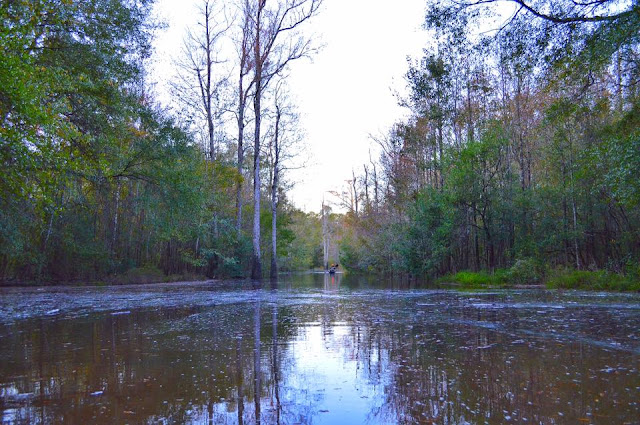 Kints: The Unfathomed: Big Swamp and Big Lake, 22 November 2015