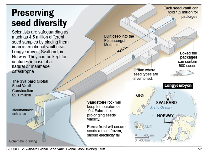 Jane Bell Design & Illustration: A really expensive seed vault