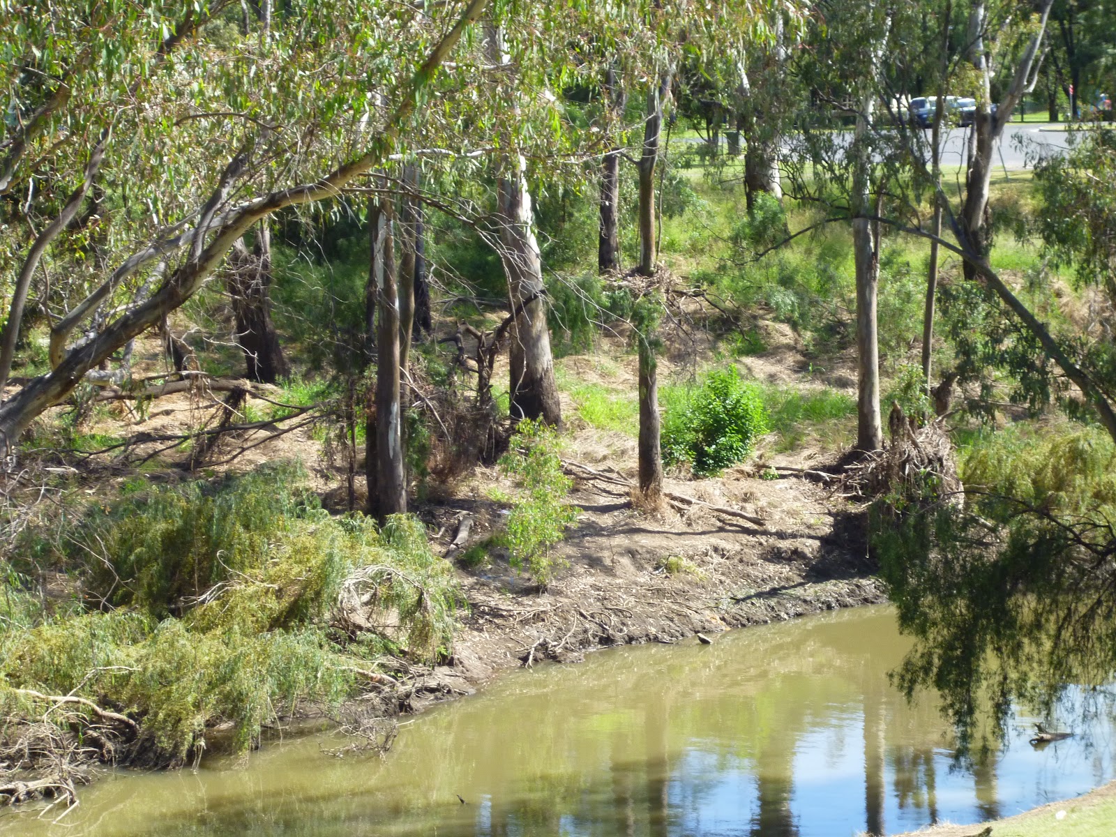 Val and Chris on tour: Rivers, roads: Narrabri to Mungindi: total ...