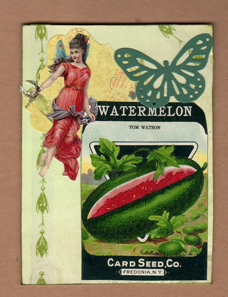 Lunagirl Moonbeams by Lunagirl Vintage Images: Garden Fairies are Back!