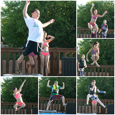 A Diary of A Wimpy Mom: Steve Head Harjo