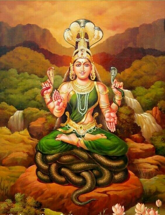 NIKHIL-SIDDHASHRAM - DR.NARAYAN DUTT SHRIMALIJI: NAAG DEVATA