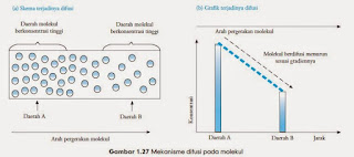 Transpor Zat - Zat Melalui Membran Sel - BELAJAR BIOLOGI BERSAMA