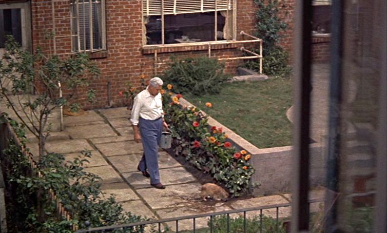 The Film Sufi: “Rear Window” - Alfred Hitchcock (1954)