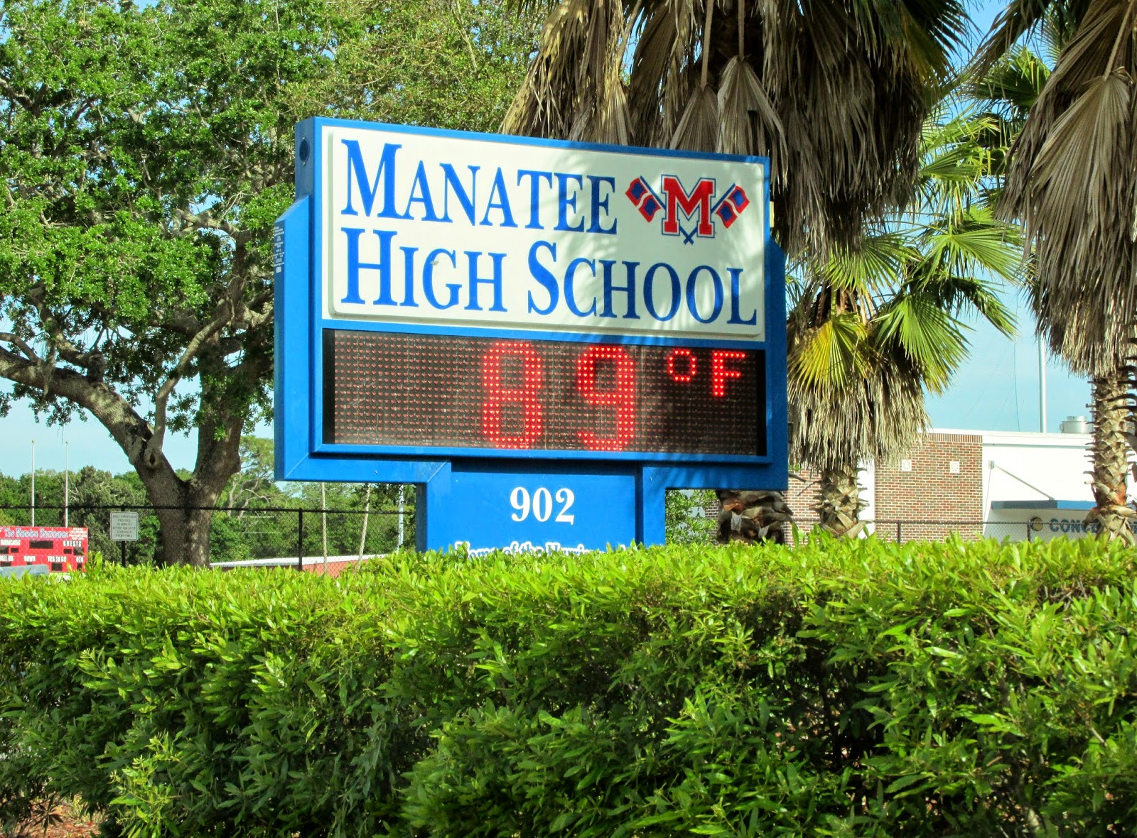 Eccentric Roadside: Oh, the huge manatees! Scenes from Manatee County ...