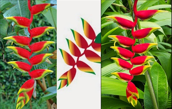 Aniversario de Bolivia 6 de agosto