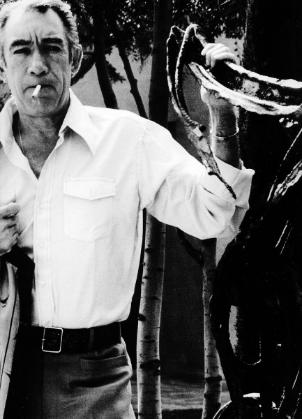 Los Grandes Fotografos: Ellen Graham