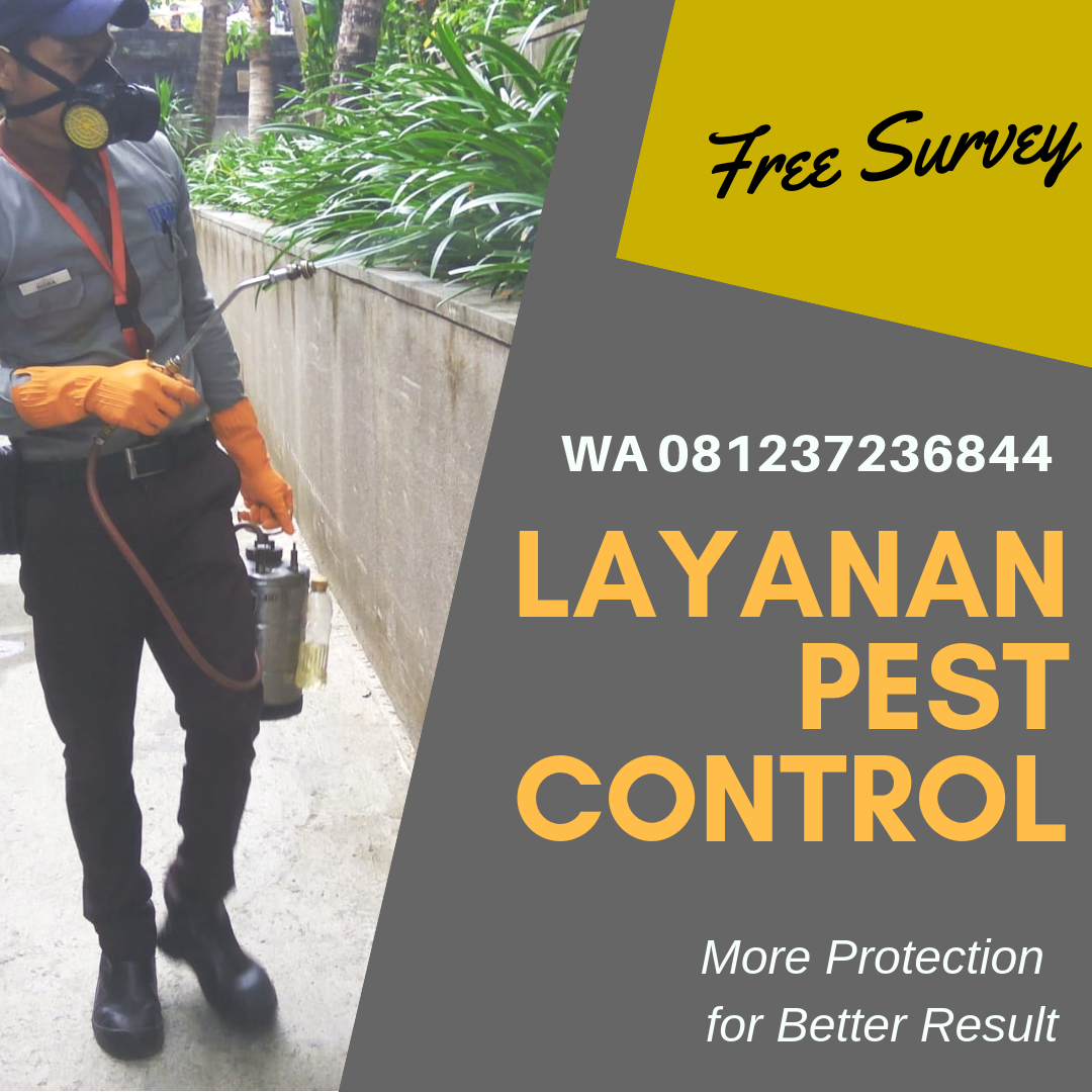 Jasa Pest Control Surabaya