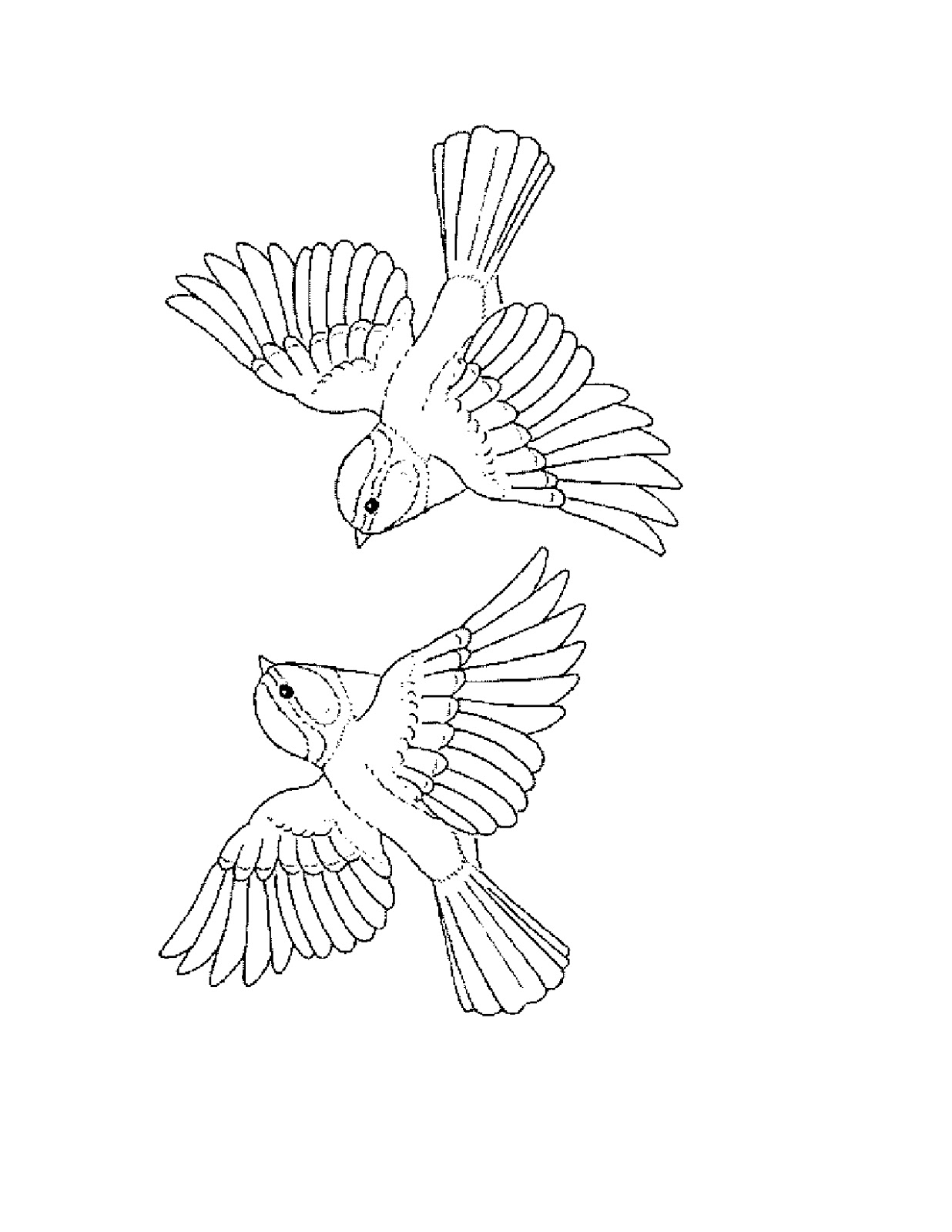 IMAGINI de colorat cu PASARI zburatoare :: Fise de lucru - gradinita si ...