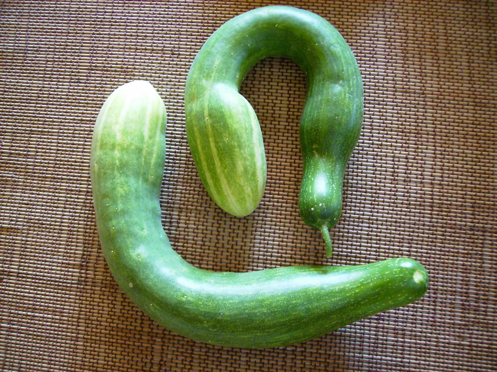 LÄBI RASKUSTE TÄHTEDE POOLE: Kurgid