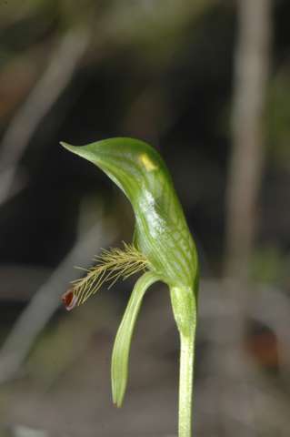 The Nature of Robertson: August 2012