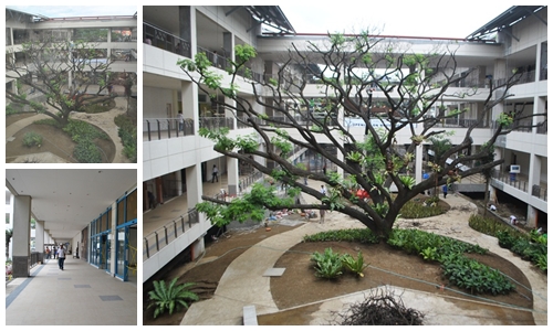 Centrio (Ayala Mall) Sneak Peek Tour | Cagayan de Oro City - Travel Jams