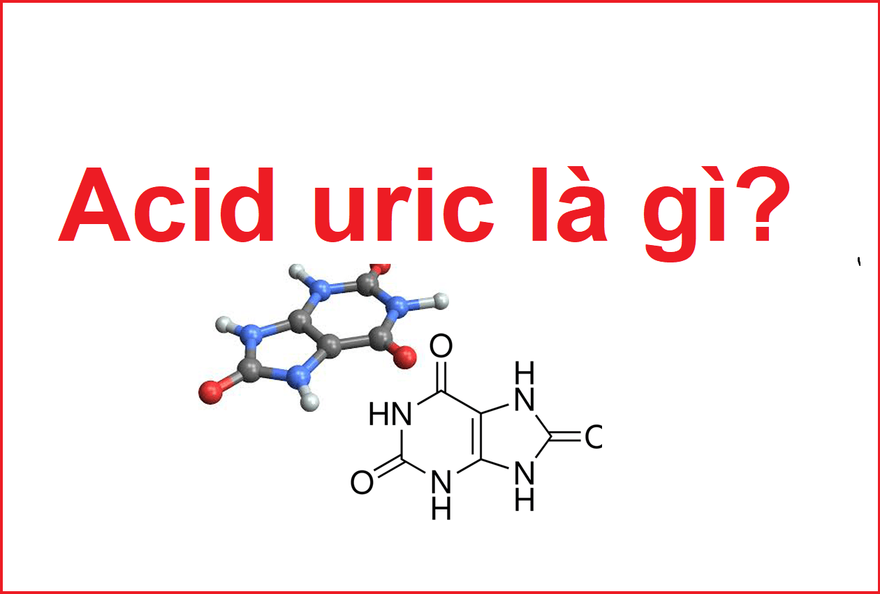 Acid uric là gì? Bao nhiêu thì bị gout? - Y KHOA CENTER