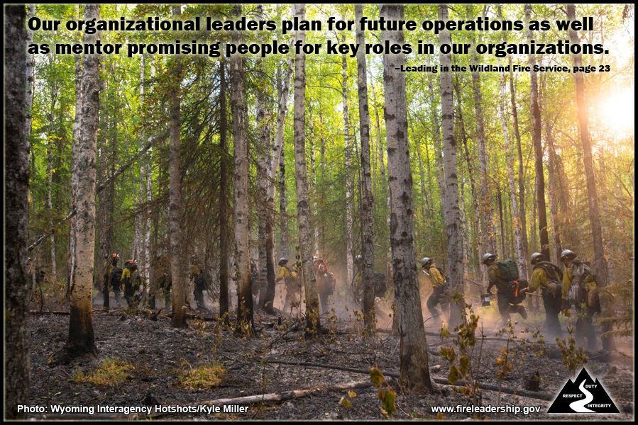Wildland Fire Leadership: IGNITE: Planning & Mentoring