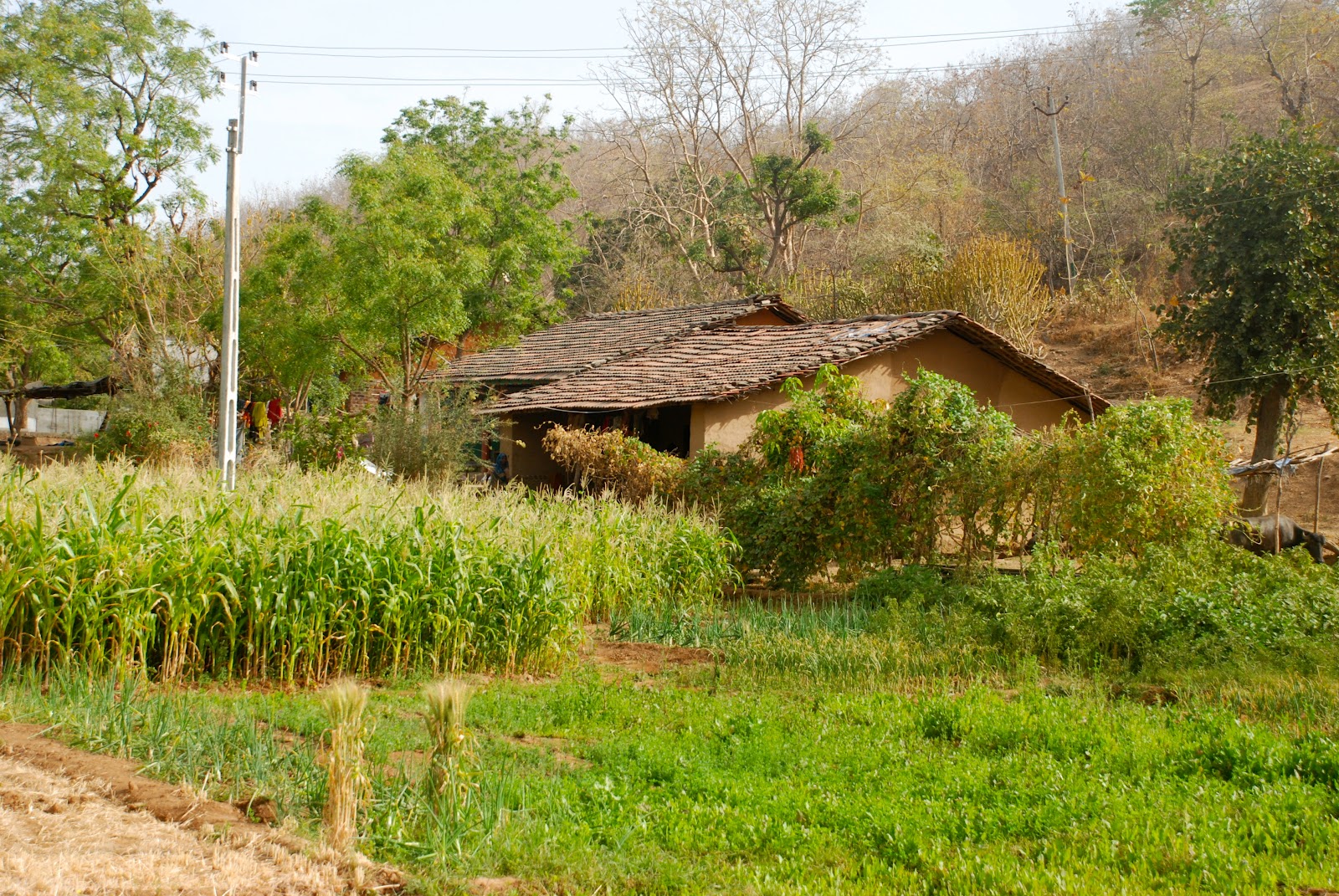 gurjarvani: Gurjarvani Shooting trip to Bhiloda Villages