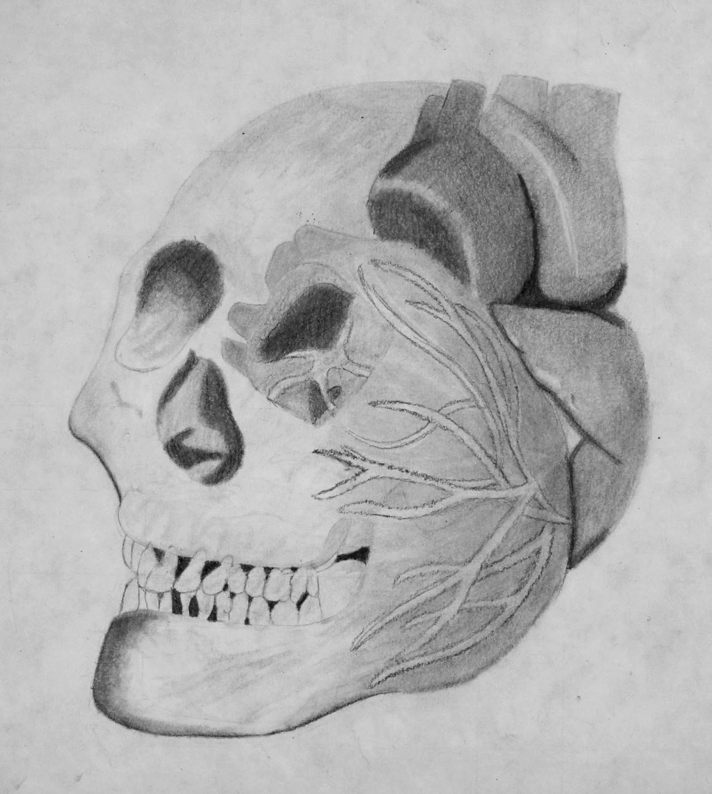 Student Art: Hybrid Designs | concept + transition