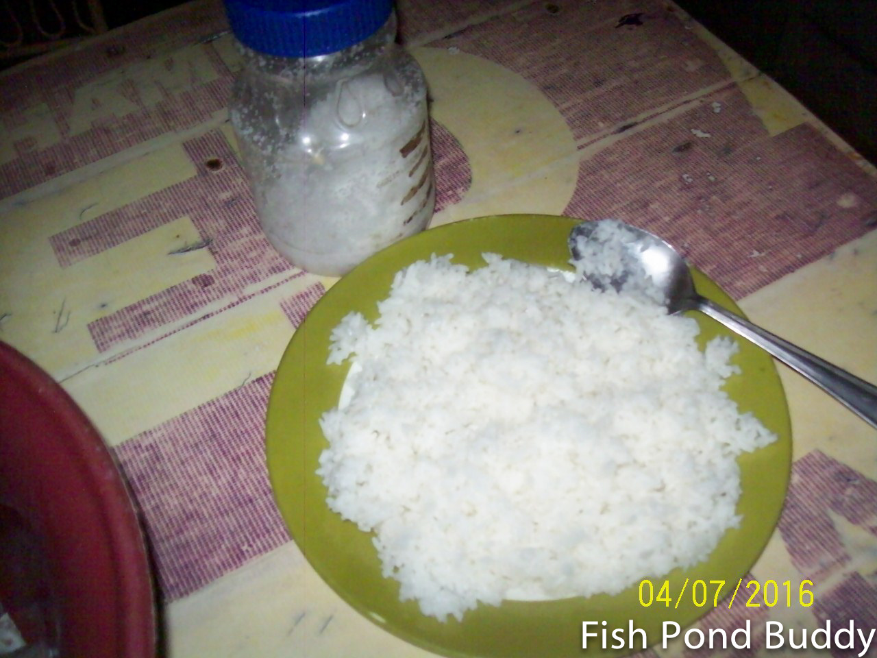 Fish Pond Buddy: How to Make Fermented Rice-Fish Mix ("Buro") at the ...