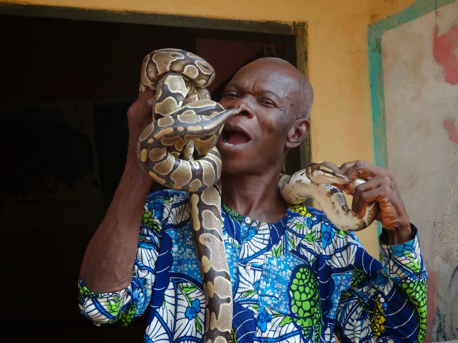 Temple des pythons : Tete à Cotonou
