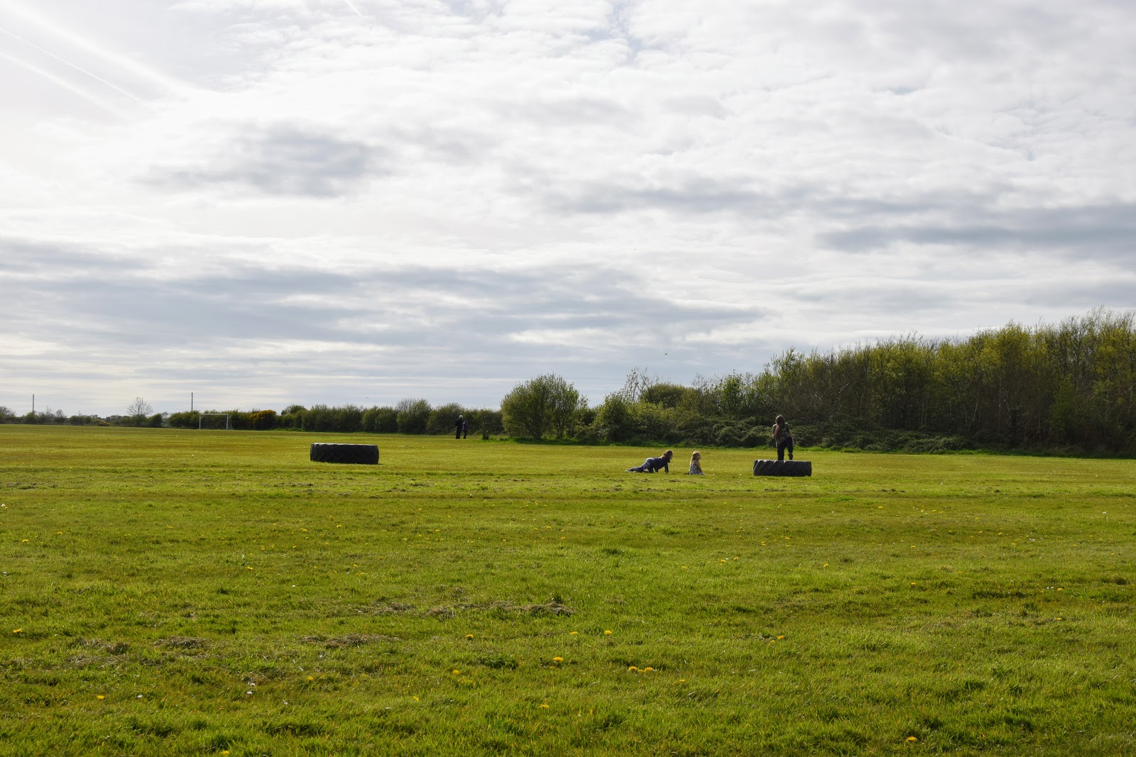 Pembrokeshire Walks: Haverfordwest Race Course - Diary of the Evans ...