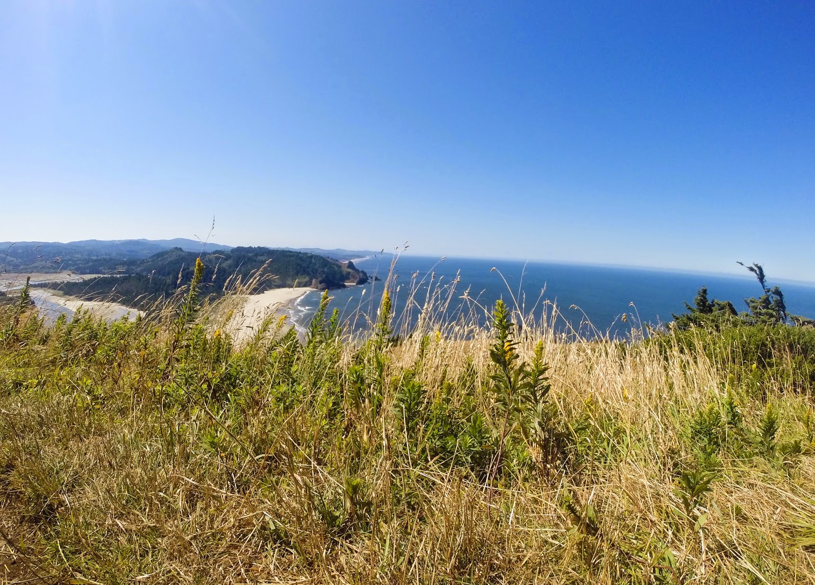 Hiking the Great Northwest: Cascade Head Hike