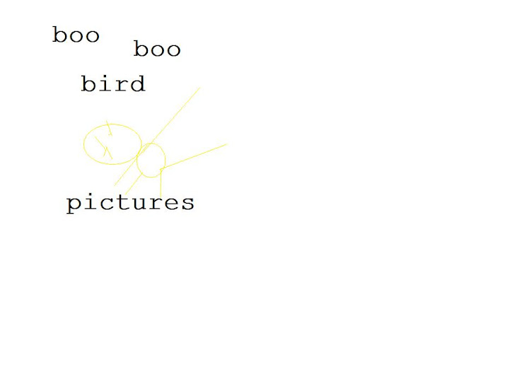 boo boo bird pictures