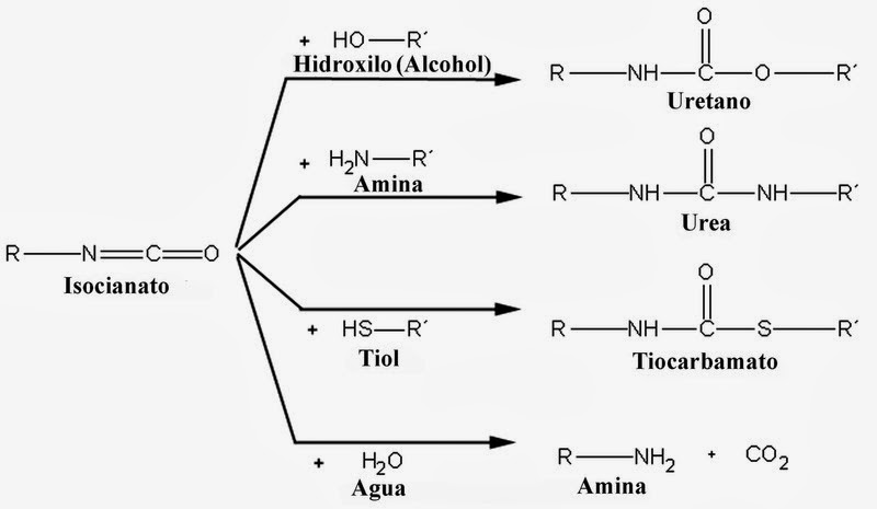 CLUSTER - divulgación científica: 2013