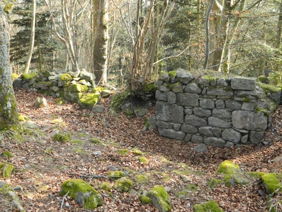 Châteaux-forts, abbayes, monuments antiques et personnages historiques ...