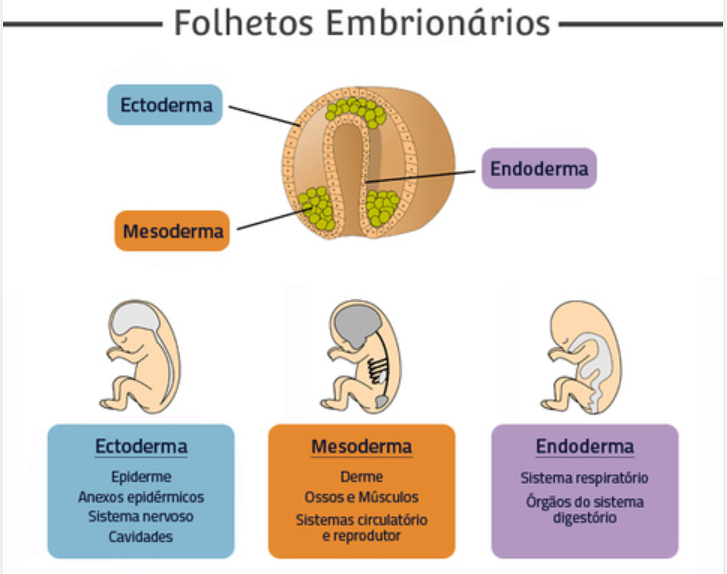 3º Ano: março 2018