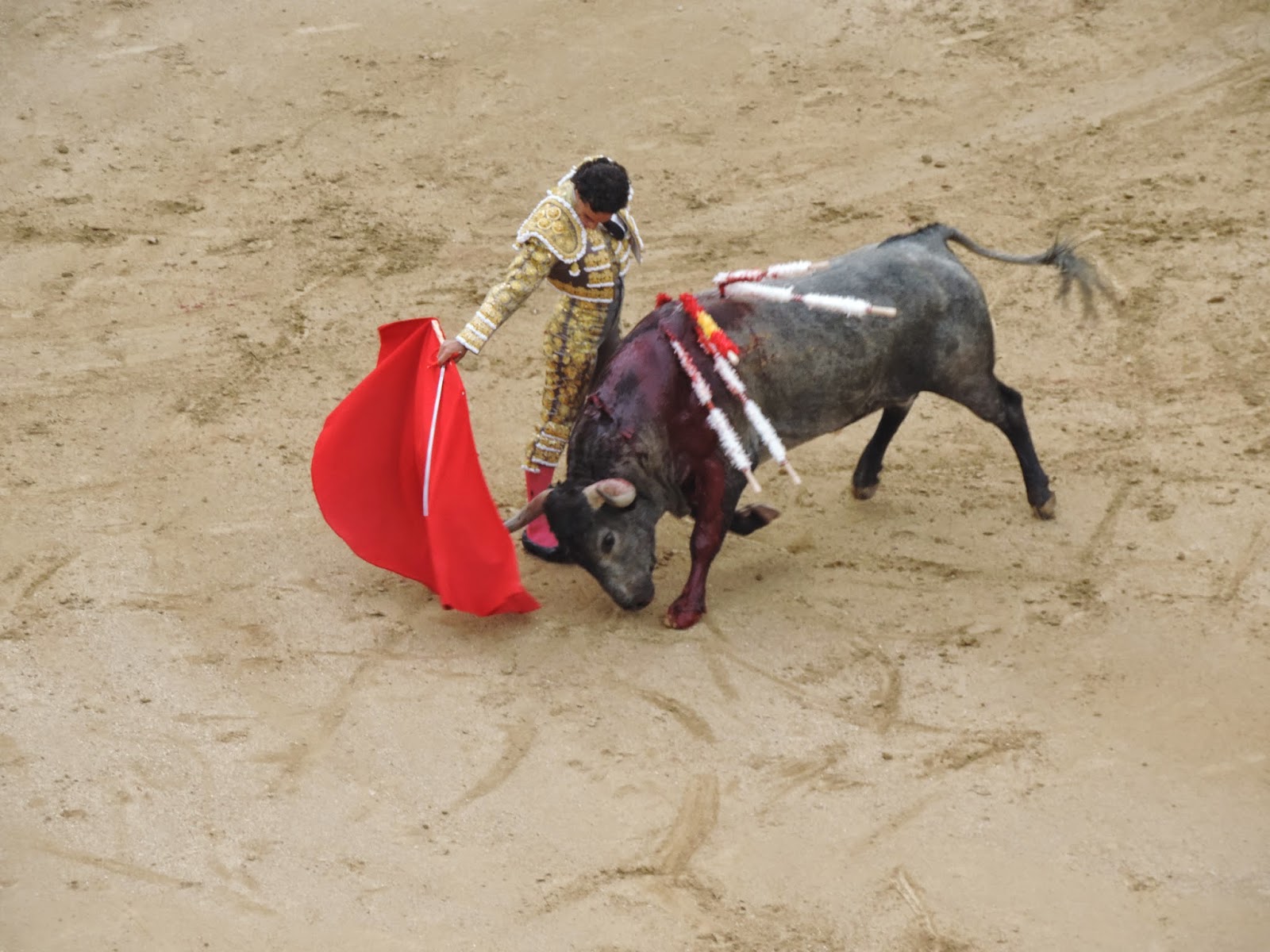 Luiz y Katerine - Madrid: Corrida de Toros / Tourada