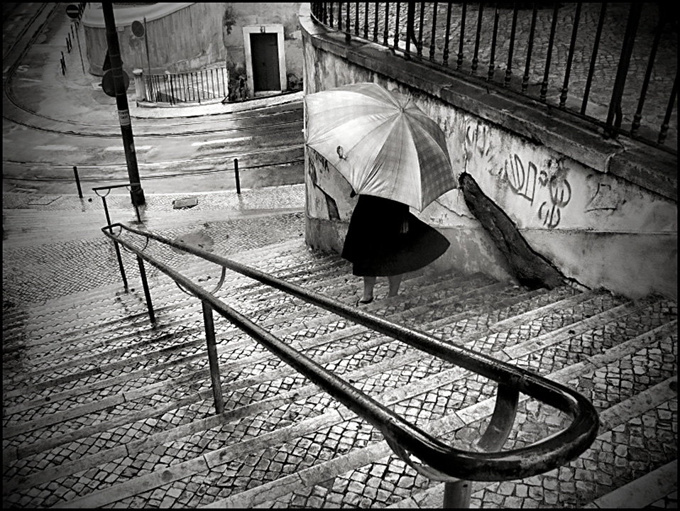 LA MIRADA FOTOGRÁFICA: Rui Palha