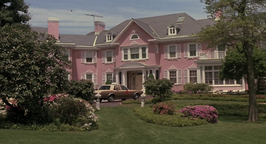 plasticbats: She-Devil (1989)