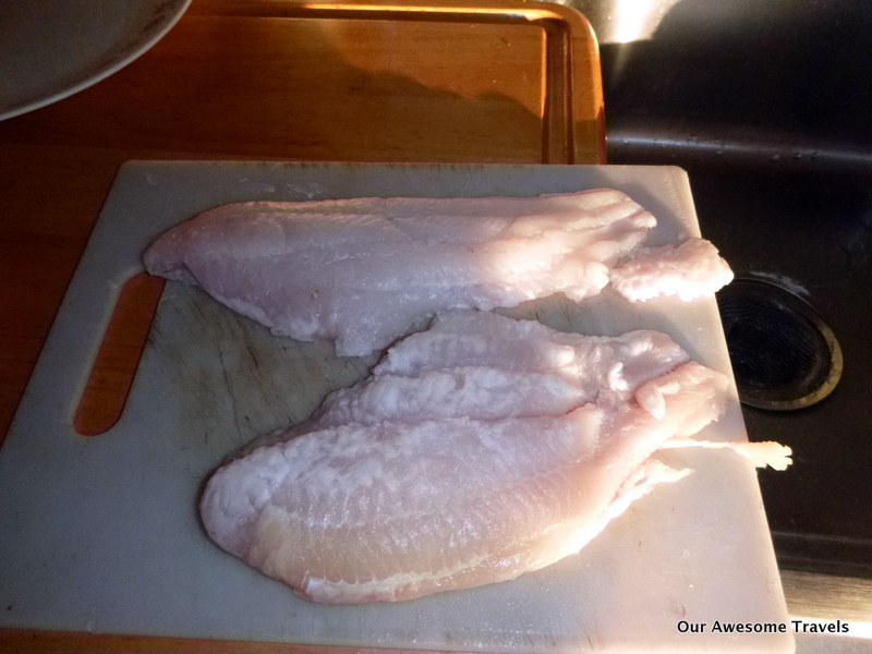 Our Awesome Travels: Sunny warm, Imperial sand Dunes, and fun with friends.