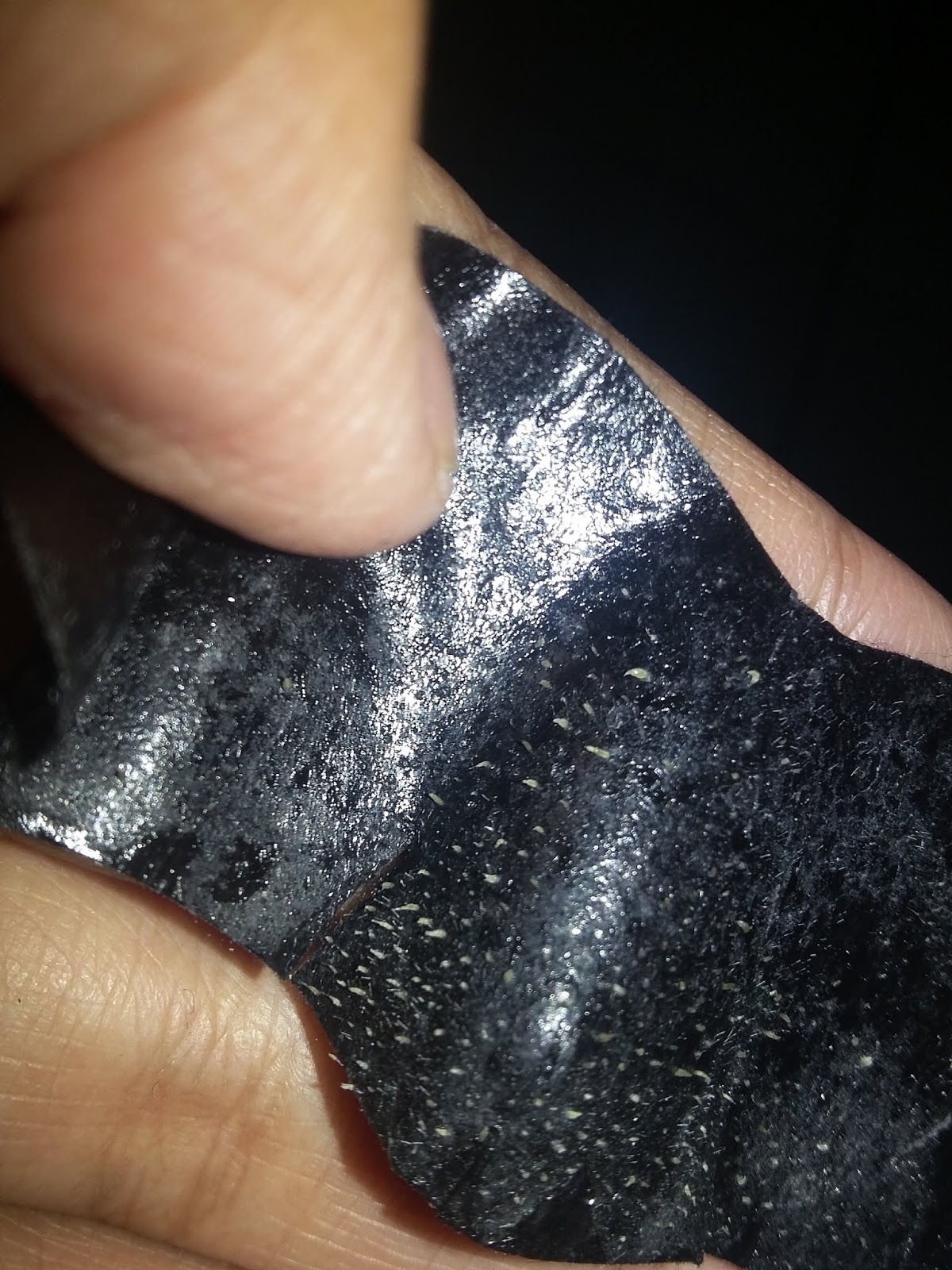 [REVIEW] BIORE PORE PACK – TIPS MEMBUAT PORE PACK AMPUH MENCABUT KOMEDO ...