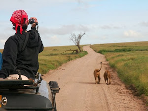 Adventures of a Zookeeper: Raptor Handling 101
