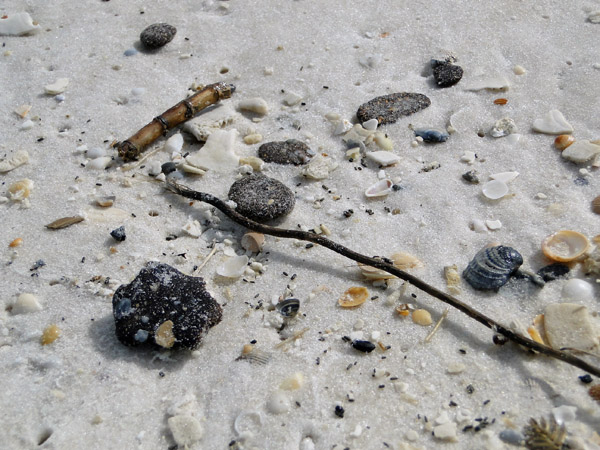 Reflections From the Fence: What is a Tar Ball?