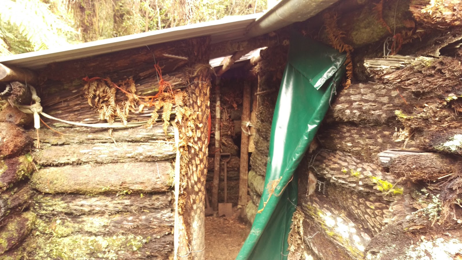 Tramping: Punga Hut or Miro Valley Hut