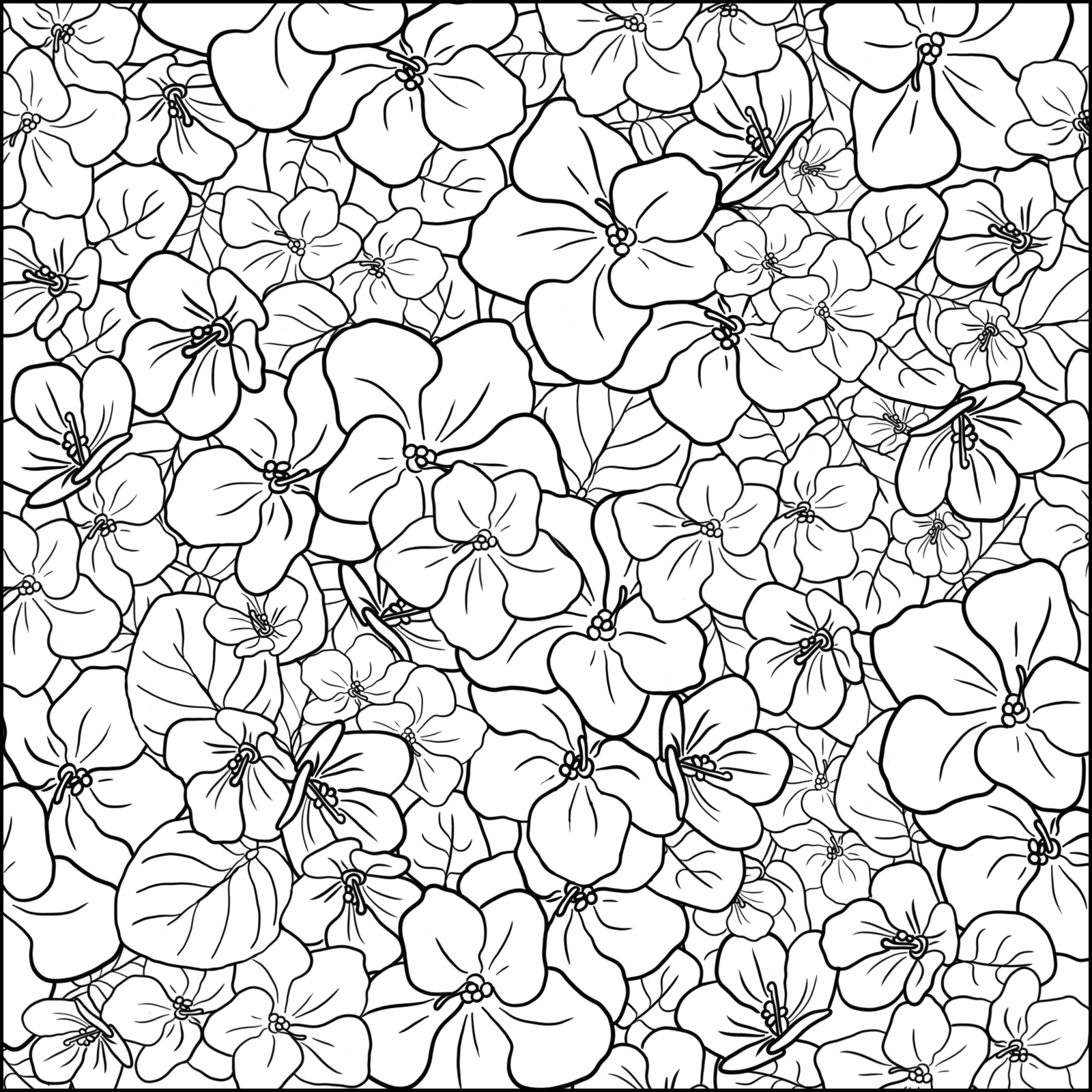 Coloring Pages Of Violets Coloring Pages