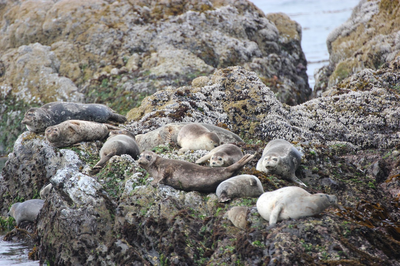 The Pioneer Business Woman: The Pacific Rim is Where It’s At….