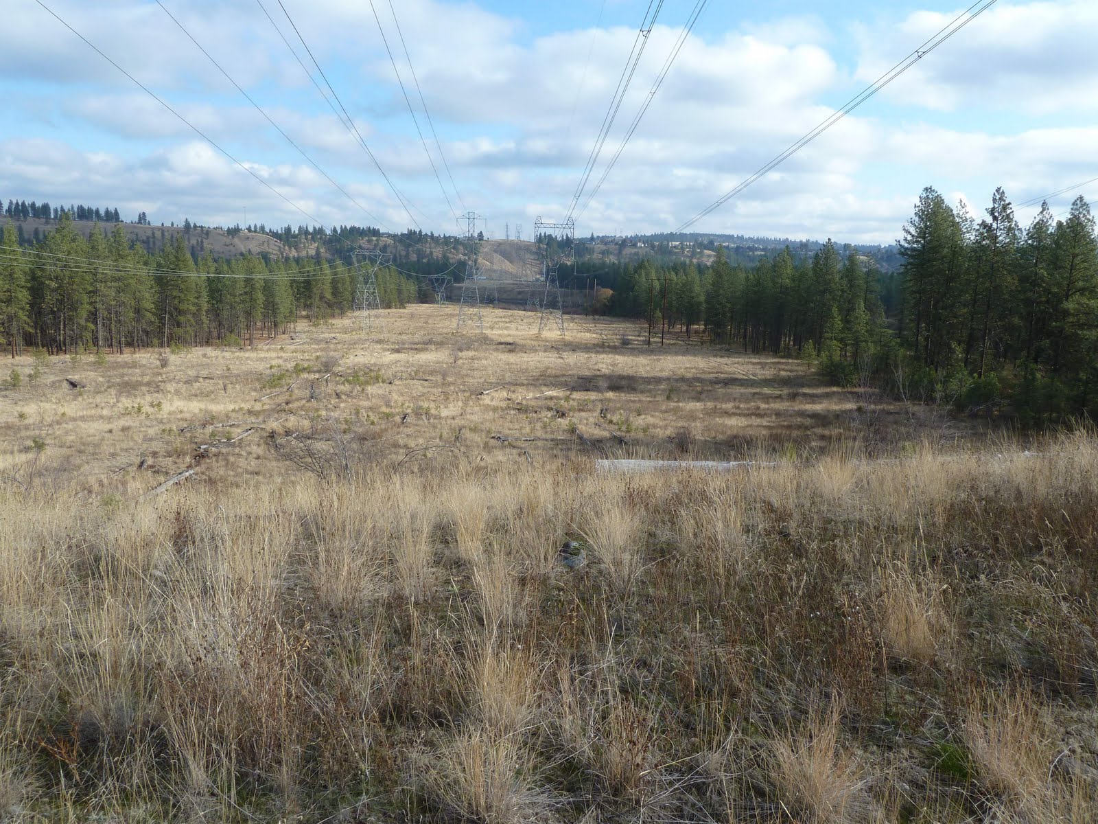 Dwayne's World with Bogie (the wonder dog!): Centennial Trail, Spokane ...