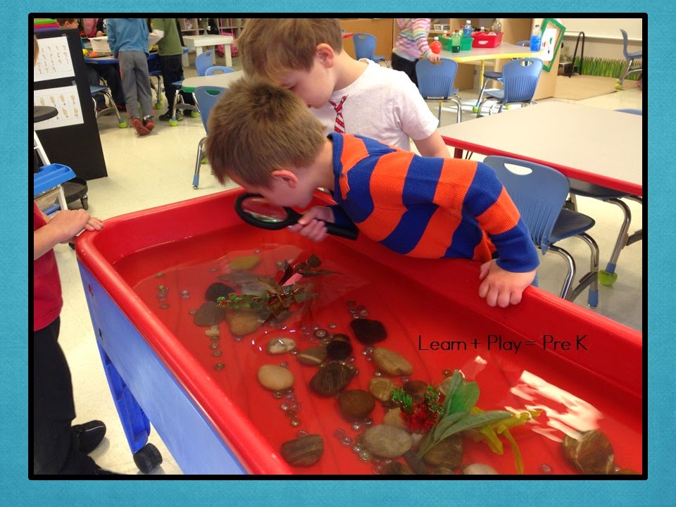 Learn + Play = Pre K: Ocean Week in Preschool